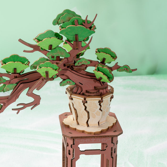 Rolife Evergreen Pine Bonsai DIY Wooden 3D Puzzle TG510 | Robotime